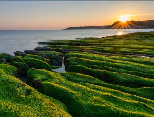 ICROA Code of Best Practice | ICROA